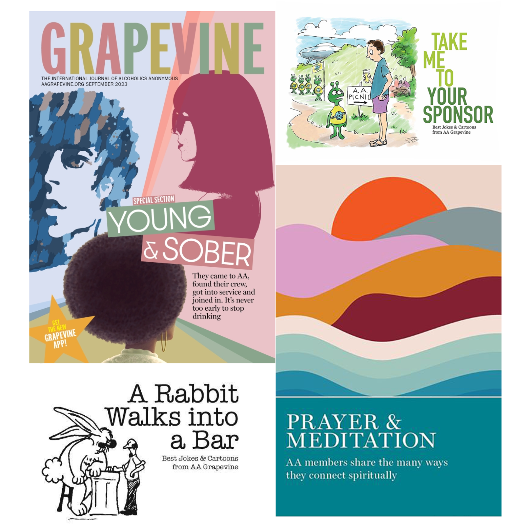 San Francisco and Marin Intergroup Bookstore